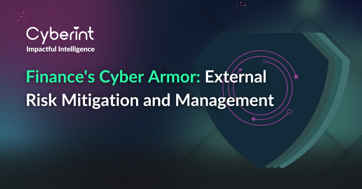 Finance's Cyber Armor: External Risk Mitigation and Management